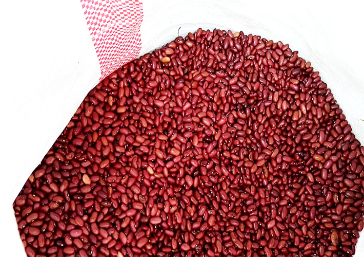 Precio de la libra de frijol rojo se elevó. – Punto Noticioso
