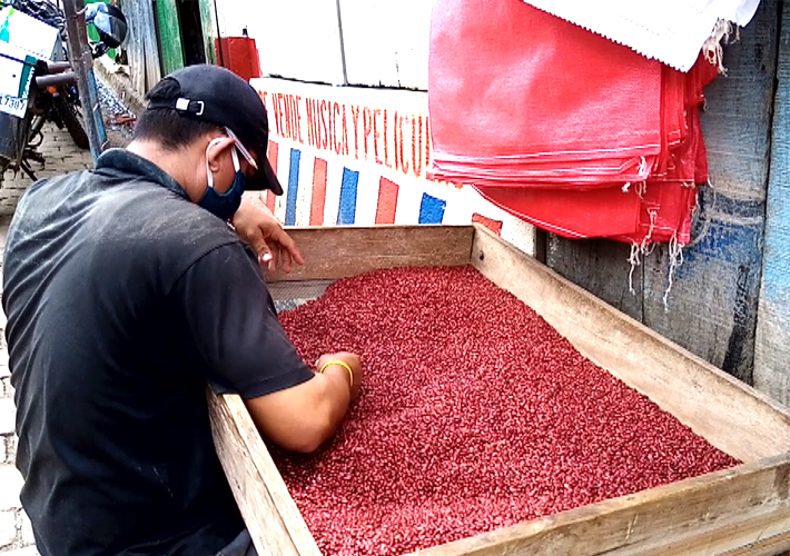 La libra de frijol rojo ya llegó a los 30 córdobas. | Punto Noticioso