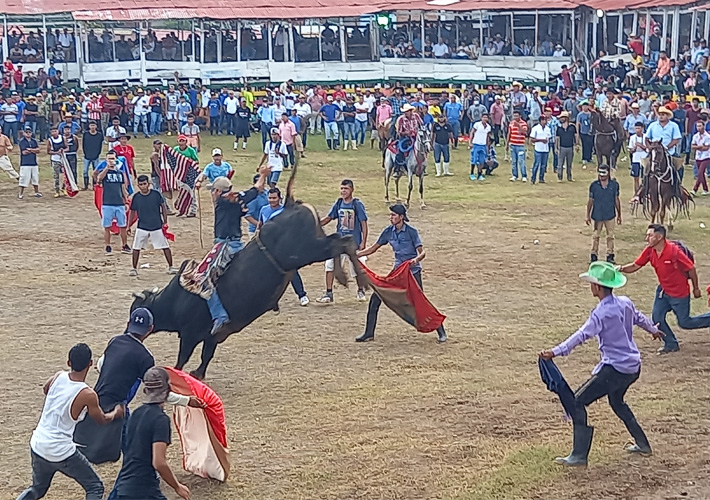Confirman que para septiembre no hay montas de toros, sólo actividades ...
