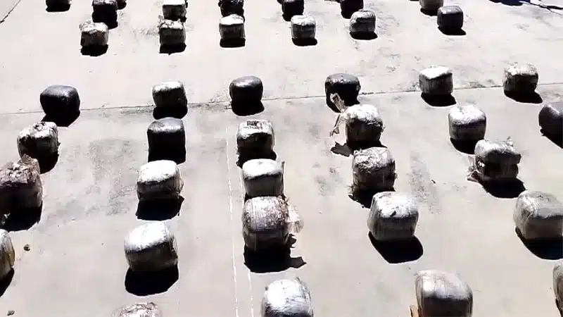 Policía De Nueva Segovia Incautó 152 Libras De Marihuana Punto Noticioso