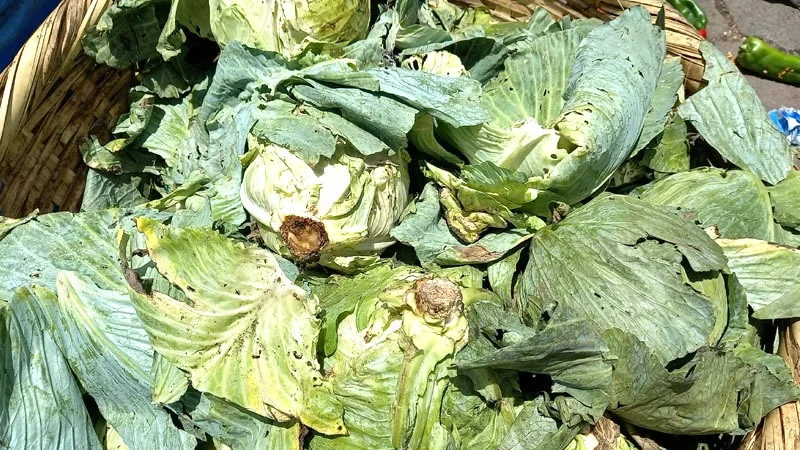 La cebolla, el repollo y la papa aumentaron sus precios en el mercado ...