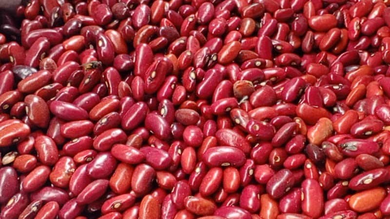 La libra de frijol rojo se acerca a los 40 córdobas en el Mercado de ...